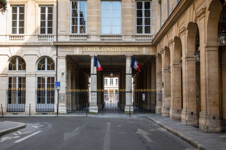 Le Conseil constitutionnel et les normes constitutionnelles ...